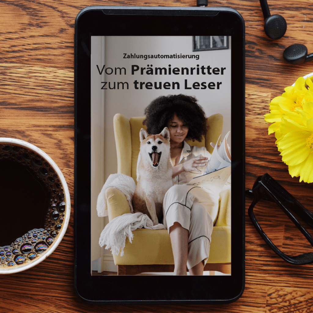 HAYMARKET SETZT AUF DSB FLY – DSB